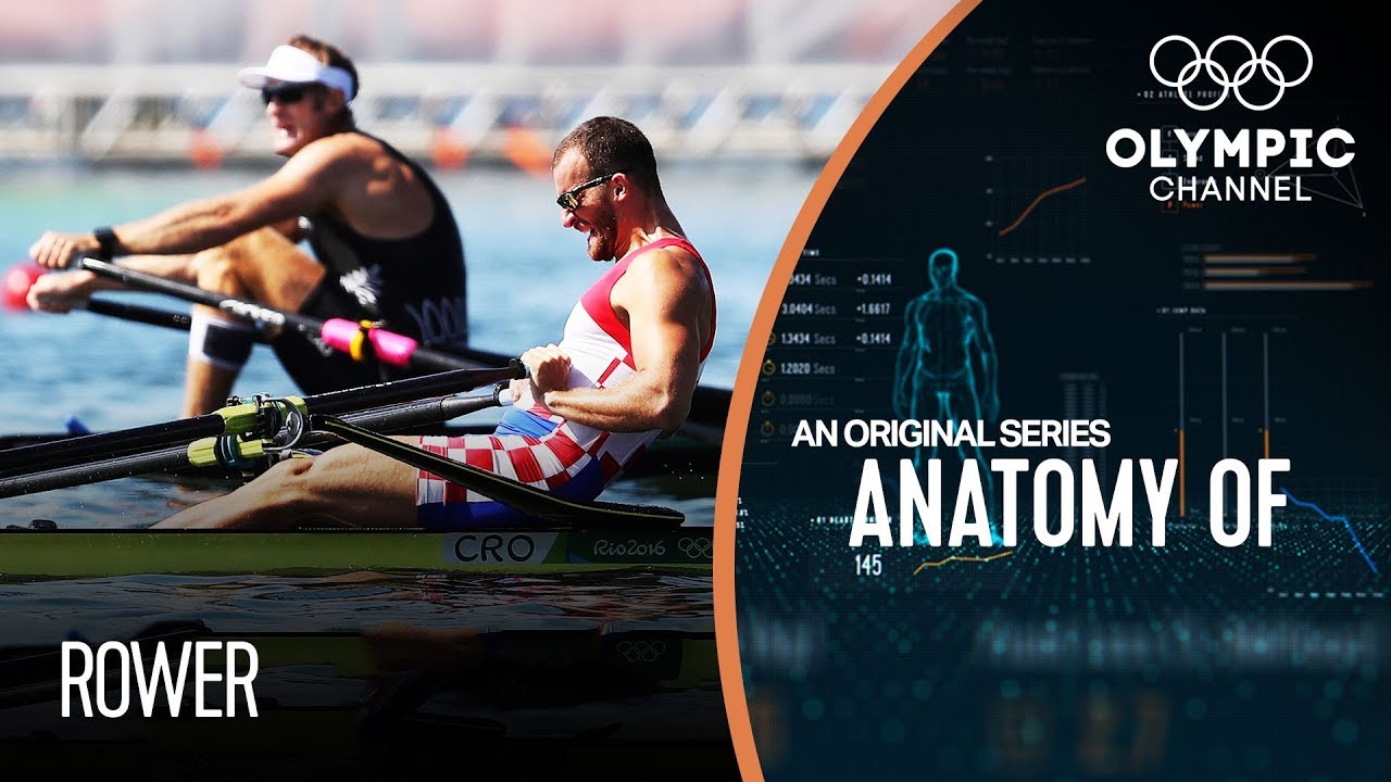 Anatomy of a Rower: Do they have the strongest legs of any Olympic ...
